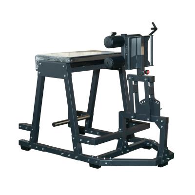China Commercial Gym Back Hyperextension GHD Glute Ham Developer Roman Chair for Lower Back for sale