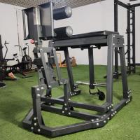 China Commercial Gym Back Hyperextension GHD Glute Ham Developer Roman Chair for Lower Back for sale