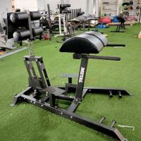 China GHD Back Hyperextension Roman Chair Fitness Equipment Waist Exercise Perfect Fit for sale