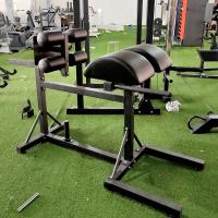 China Custom Made Hyperextension GHD Glute Ham Developer Roman Chair for Community Appliance for sale