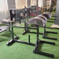 China Custom Made Hyperextension GHD Glute Ham Developer Roman Chair for Community Appliance for sale