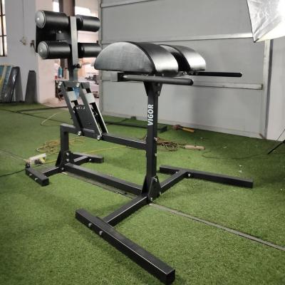 China Glute Ham Developer GHD Roman Bench Back Hyperextension Chair for Adult Gym Exercises for sale