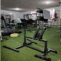 China Glute Ham Developer GHD Roman Bench Back Hyperextension Chair for Adult Gym Exercises for sale
