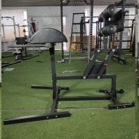 China Glute Ham Developer GHD Roman Bench Back Hyperextension Chair for Adult Gym Exercises for sale