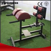 China Roman Chair Reverse Hyper Extension Lower Back Exercise Benches Custom Made for Home for sale