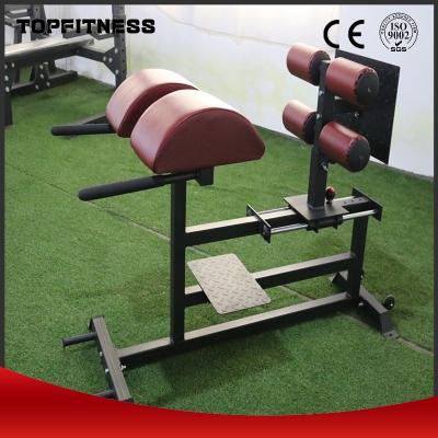 China Roman Chair Reverse Hyper Extension Lower Back Exercise Benches Custom Made for Home for sale