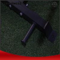 China Colourful Commercial Gym Exercise Equipment Roman Chair for Back Extension CE Certified for sale