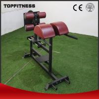 China Community Fitness Strength Hyper Extension Workout Training Bench with 62kg Net Weight for sale