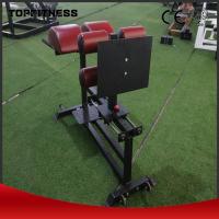 China Customizable Commercial Cross Fit Glute Ham Raise Developer Bench Request Your Design for sale