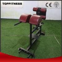 China Customized Logo Availabled Multifunctional Roman Chair for Gymnasium Strength Training for sale