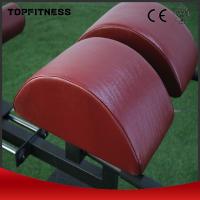 China Customized Logo Availabled Multifunctional Roman Chair for Gymnasium Strength Training for sale