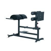 China Direct Back Hyperextension GHD Glute Ham Developer Roman Bench for Core Strengthening for sale
