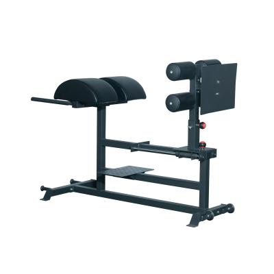China Direct Back Hyperextension GHD Glute Ham Developer Roman Bench for Core Strengthening for sale