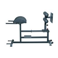 China Direct Back Hyperextension GHD Glute Ham Developer Roman Bench for Core Strengthening for sale