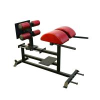 China Direct Back Hyperextension GHD Glute Ham Developer Roman Bench for Core Strengthening for sale