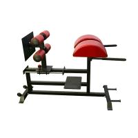 China Direct Back Hyperextension GHD Glute Ham Developer Roman Bench for Core Strengthening for sale