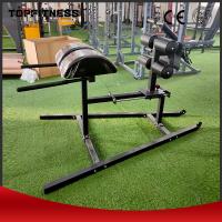 China Customized Logo Availabled Gym Equipment Roman Chair GHD Machine Bench for Adults for sale