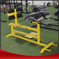 China Customized Logo Availabled Gym Equipment Roman Chair GHD Machine Bench for Adults for sale
