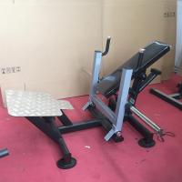 China Adjustable Hip Thrust Gym Machine Free Weight Fitness Equipment for Home and Commercial for sale