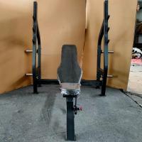 China Soundless Peculiarity Adjustable Bench Press Rack for Customize Gym Fitness Equipment for sale