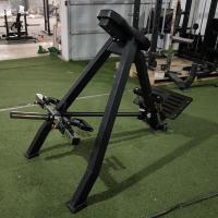 China Customization Style Commercial Bend Over and Pull Back Gym Machine for Body Building for sale