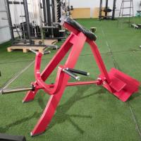 China Gym Exercise Equipment with Customization Bend Over and Pull Back Fitness Equipment for sale
