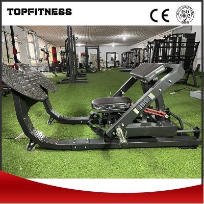 China Nautilus Glute Gym Machine for Adult Commercial Hammer Plate Glute Bridge Machine for sale