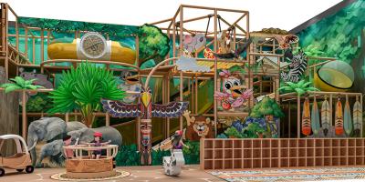 China Customizable Indoor Play Structure for Preschoolers 2-12 Years for sale