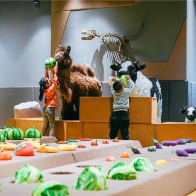 China Forest Theme Indoor Playground for Kids with Slides and Ball Pit for sale