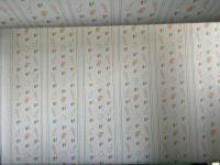 China Two Colors Printing Small Toilet Roll Tissue Paper Making Machine for sale