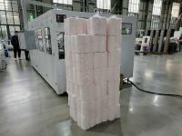China Automatic 48 Rolls Bundle Package Small Toilet Paper And Kitchen Towel Roll Machine Production Line for sale