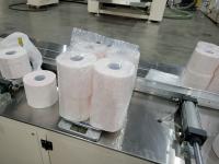 China Good Paper Log Saw Cutting Machine For Small Toilet Paper Kitchen Towel Roll for sale