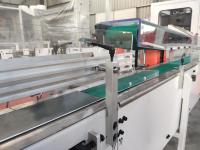 China Automatic 3D CPP Film Tissue Paper Packaging Machine 70 Bags/Minute 380V for sale