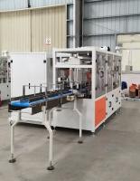 China Full automatic white toilet paper bag on rolls packing machine for sale
