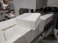 China Frequency Drive Napkin Tissue Paper Making Machine 600 Sheets/Min 200-400mm Width for sale