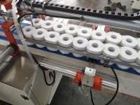 China Semi Automatic Toilet Paper Multi Rolls Packing Machine 380V 3KW Conveyor Belt Premade Bag for sale