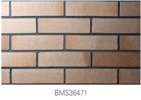 China Exterior Thin Brick Clay Materials For Home Building Free Sample for sale