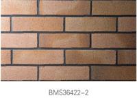 China Low Water Absorption Exterior Thin Brick Durable For Real Estate for sale