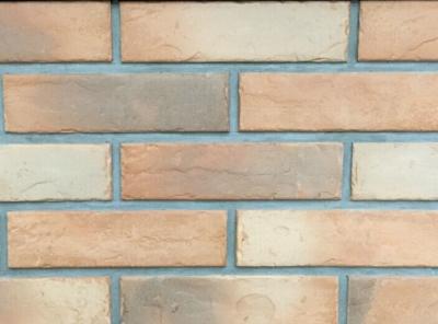 China 3D12-1 Type Veneer Brick Wall , Changable Color Indoor Brick Veneer ISO9001 2008 for sale