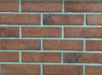 China 3D204 Light Weight 3D Thin Veneer Brick For Exterior / Interior Wall Decoration for sale