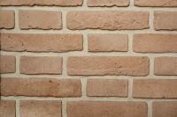 China Special Surface Range Of Colors Size 200x55x12mm Clay Brick For Wall Decoration Inside And Outside for sale