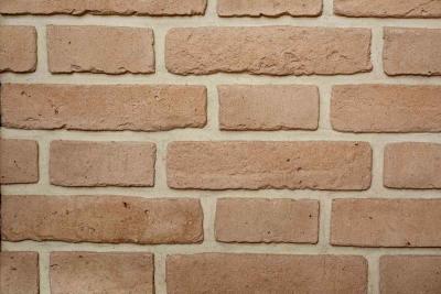 China Special Surface Range Of Colors Size 200x55x12mm Clay Brick For Wall Decoration Inside And Outside for sale