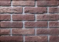 China Type A Series Building Thin Veneer Brick With Size 205x55x12mm For Wall for sale
