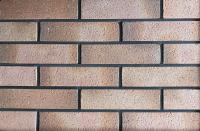 China Outside Waterproof Decorative Brick Veneer , Smooth Face Brick Insulation Exterior for sale