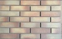 China Outside Waterproof Decorative Brick Veneer , Smooth Face Brick Insulation Exterior for sale
