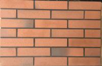 China Outside Waterproof Decorative Brick Veneer , Smooth Face Brick Insulation Exterior for sale