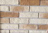 China Environmental Protection Faux Exterior Brick With Surface Texture for sale