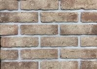 China Interior Exterior Size 205x55x12mm Rustic Brick Veneer Different Colors for sale