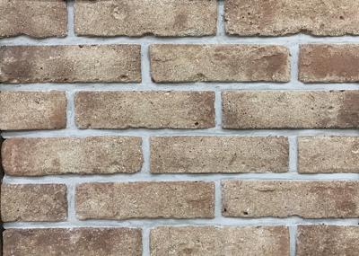 China Interior Exterior Size 205x55x12mm Rustic Brick Veneer Different Colors for sale