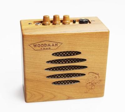 China 10W Acoustic Guitar Amplifier Solid Wood for Ukulele Acoustic Guitar with Input Output Jack for sale